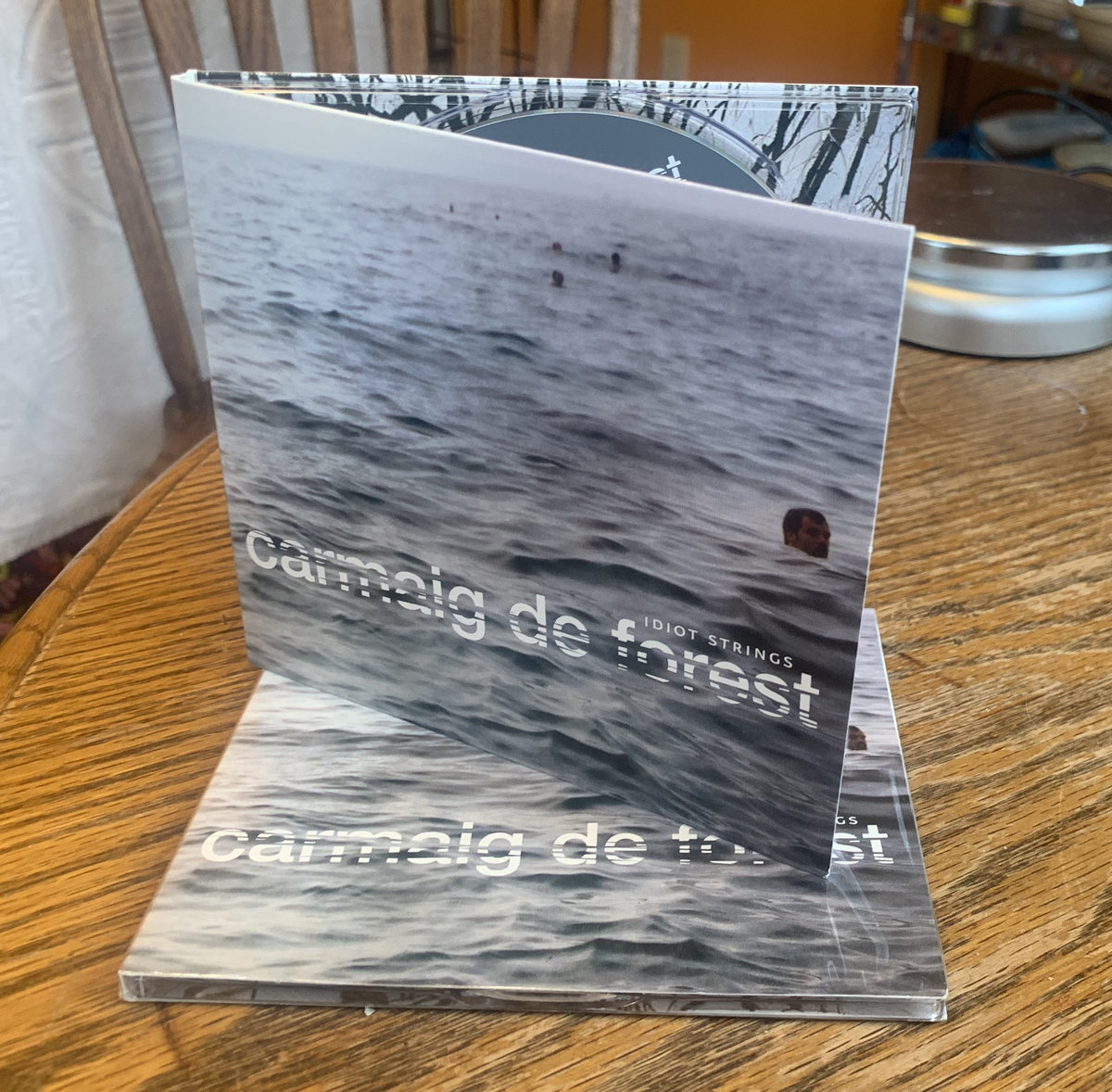 Idiot Strings | Carmaig de Forest