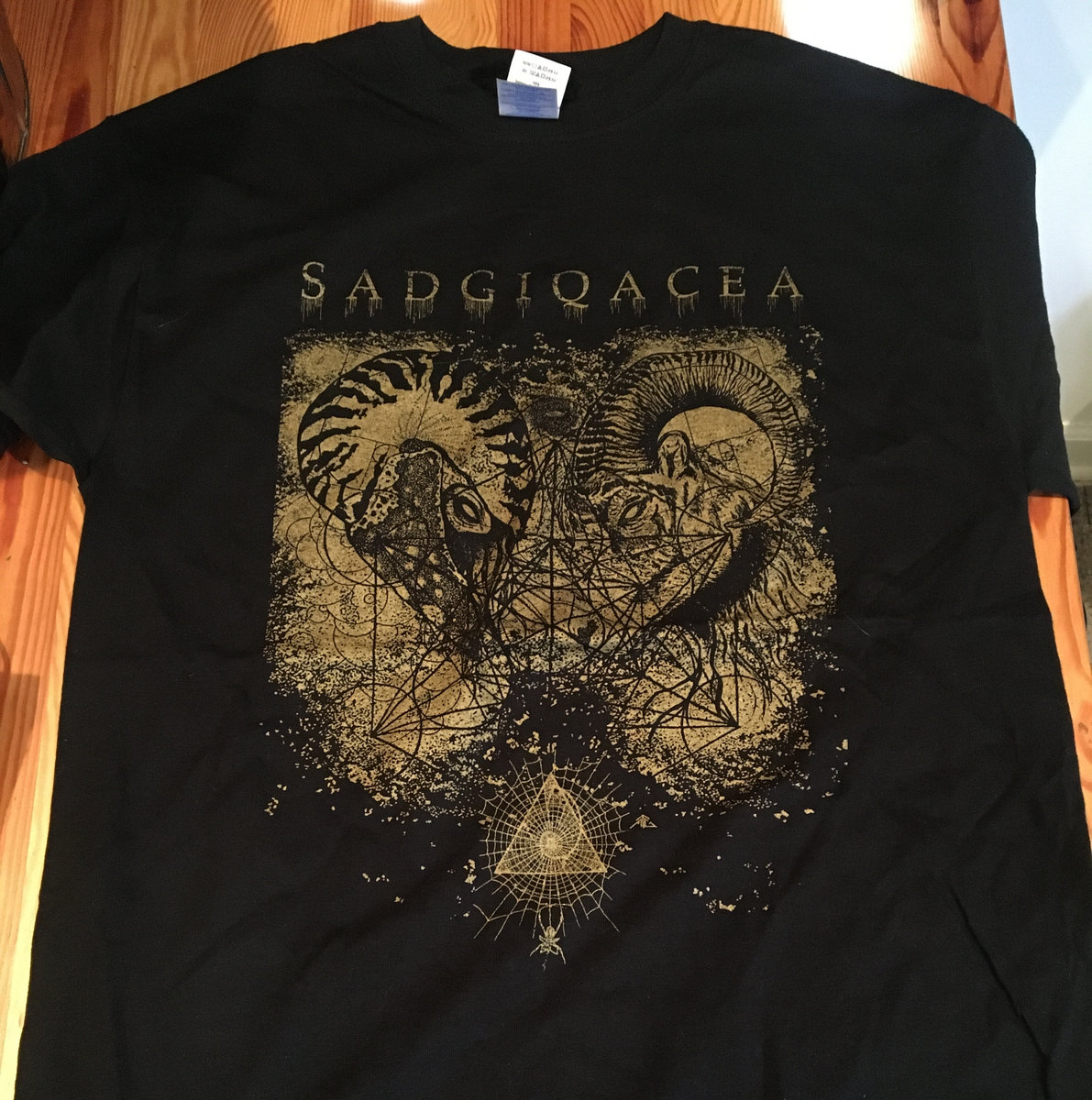 Anthrosphere V Compilation | SADGIQACEA