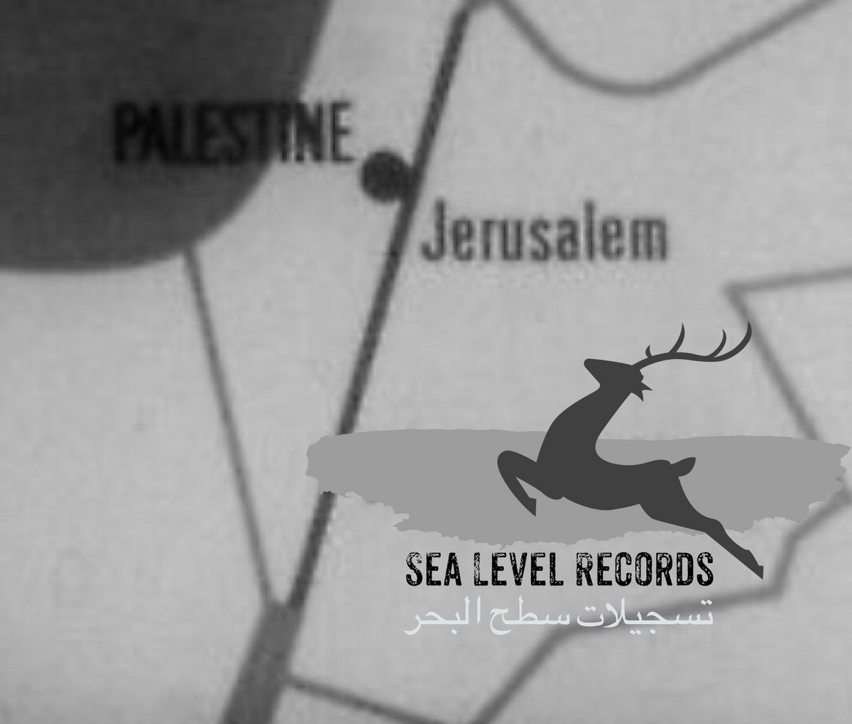 This Salt / هذا الملح | Sea Level Label