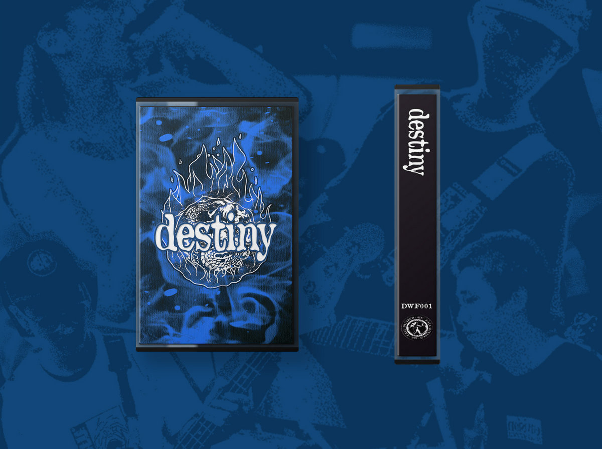 Demo 2020 | Destiny | Divided We Fall Records
