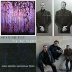 Rags to Britches | Spanish Fly | David Tronzo