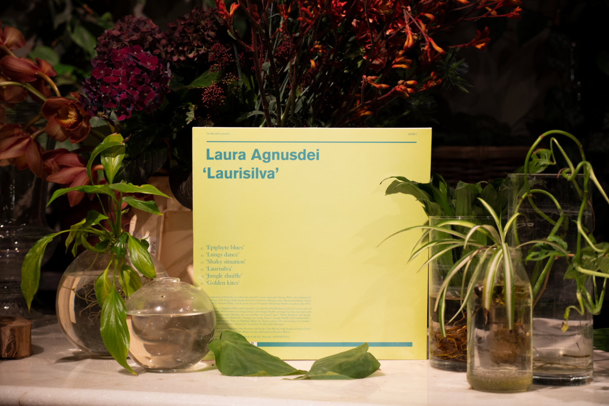 Laurisilva | Laura Agnusdei
