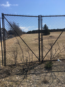 Music | Rusty Gates and the Creaking Hinges