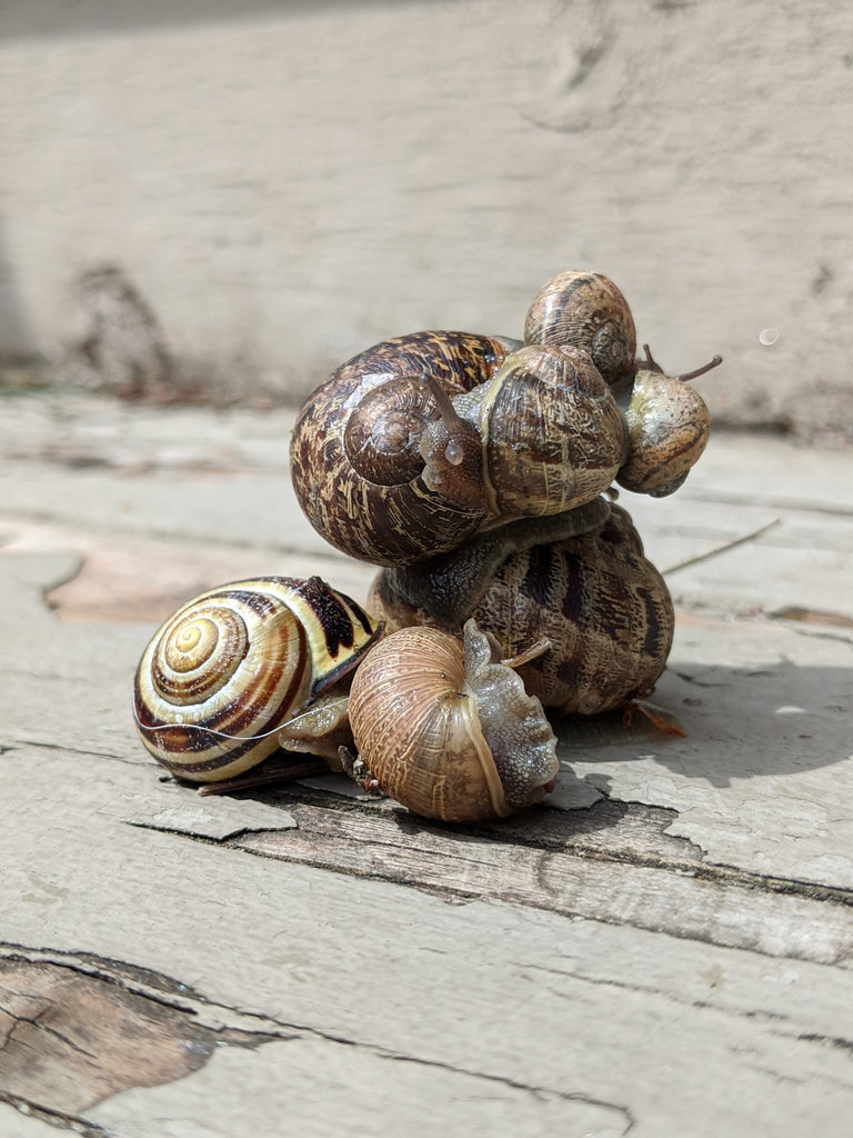 danyo206's collection | Bandcamp