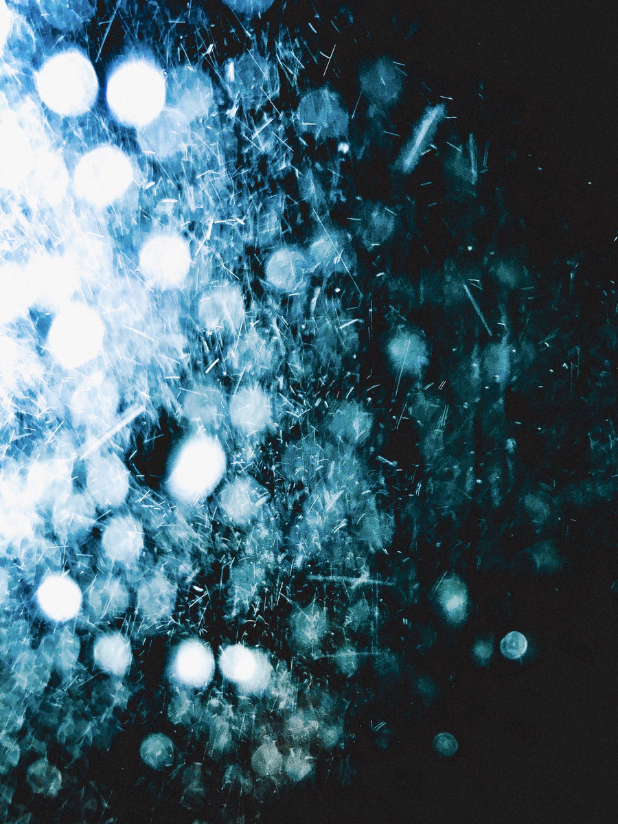 Lost Bets | Lost Bets