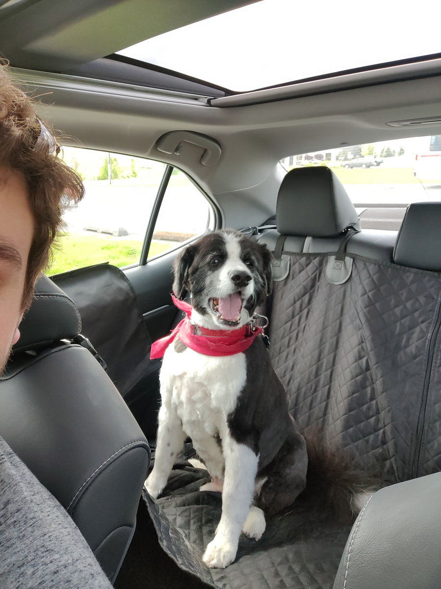 A Collection of Short Songs That Took Way Too Long to Finish | George ...