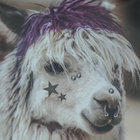 Foc / Re-foc | Rodrigo y Gabriela