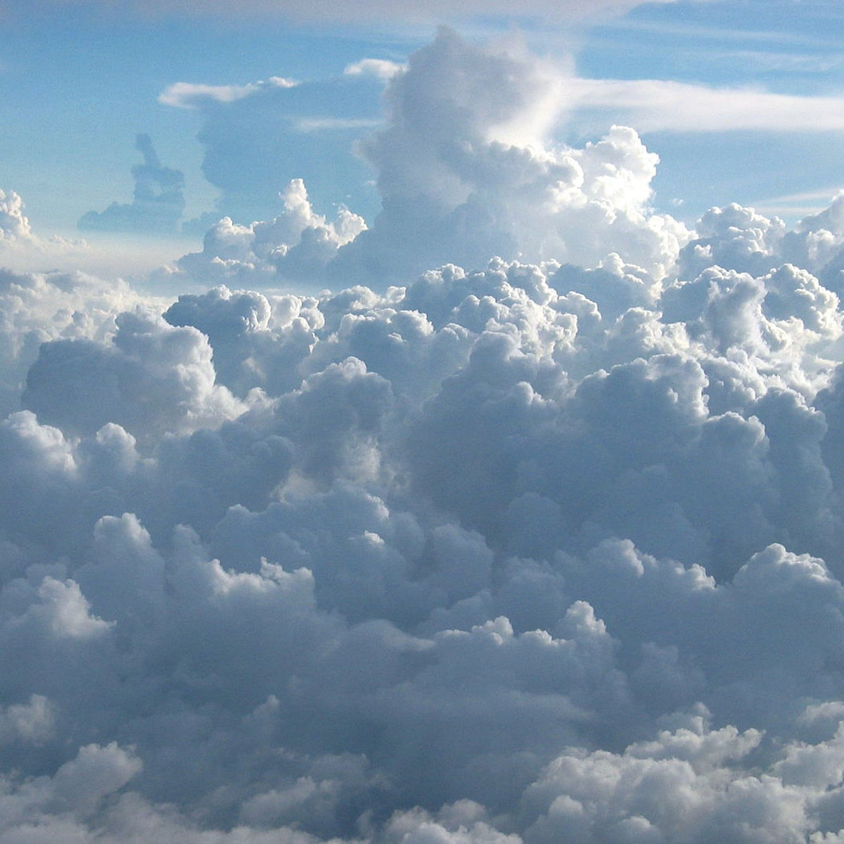 Yara Liceaga Rojas - My Father's Head is a Bucket Full of Magnets ...