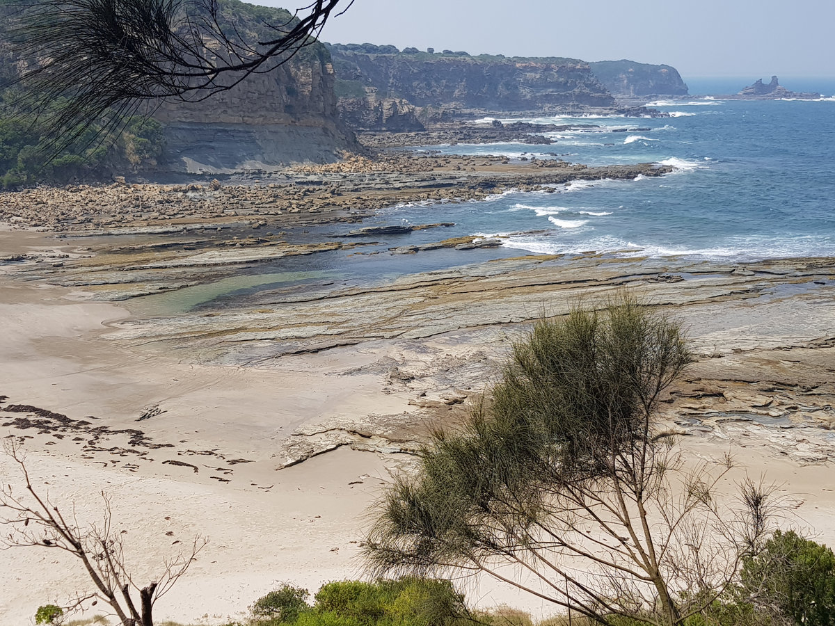 Mount Worth State Forest 20/02/2020 | Found Sound Gippsland 2019-2021