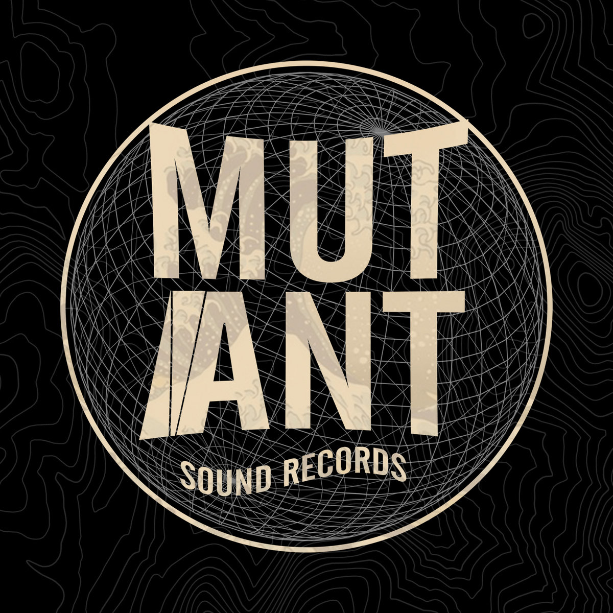 Nobody Knows Nothing | Joys | Mutant Sound Records