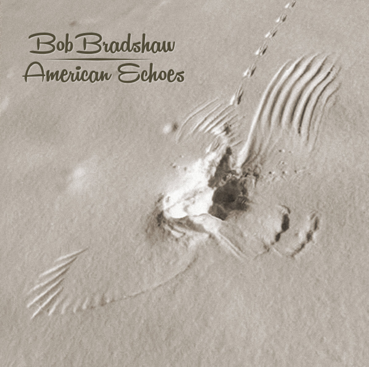 American Echoes | BobBradshawMusic
