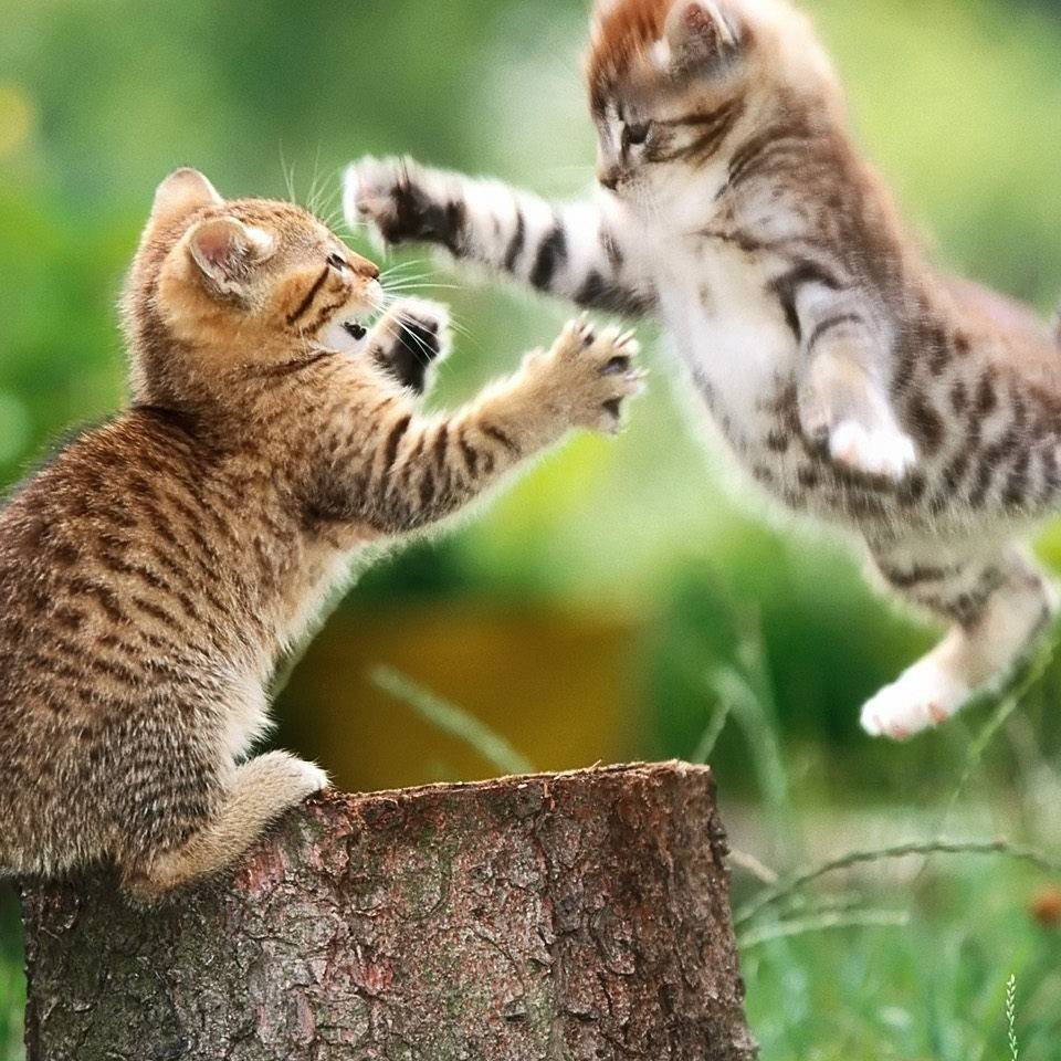 jasoncarney's collection | Bandcamp