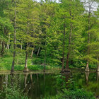 Champ du Sang | VOUS AUTRES
