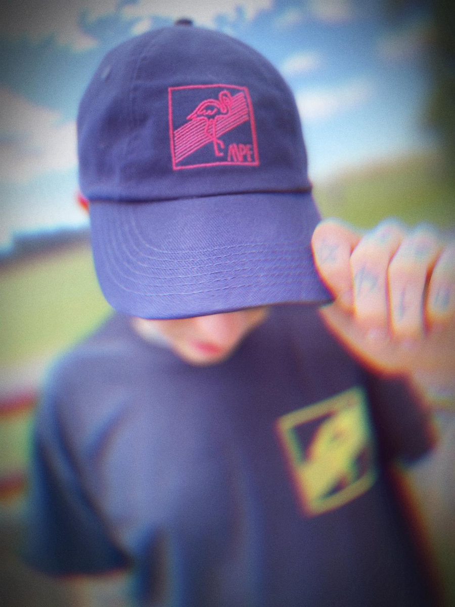 MPF Heavy Cotton Drill Cap [Blue With Pink Logo] | My Pet Flamingo