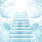 VIP COLLECTION | LOBSTA B