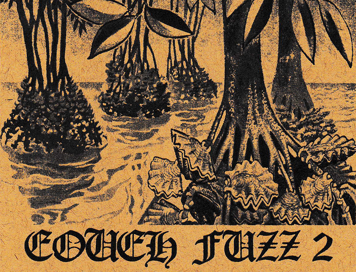 Couch Fuzz 2 | Will Freed | hidden depth