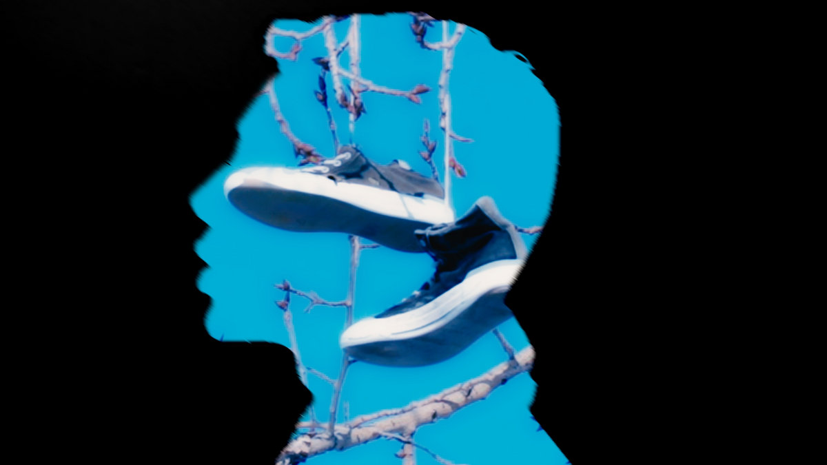 Whistlin' Trees | Blue Jay Walker