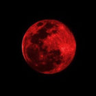 Afterlife | Planet Of Zeus