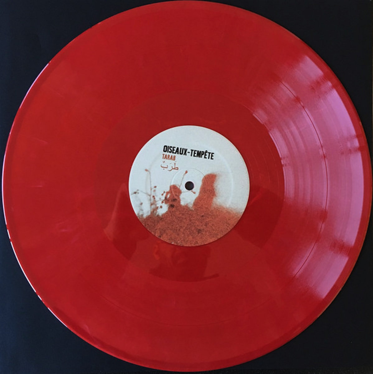 طرب TARAB | OISEAUX-TEMPÊTE