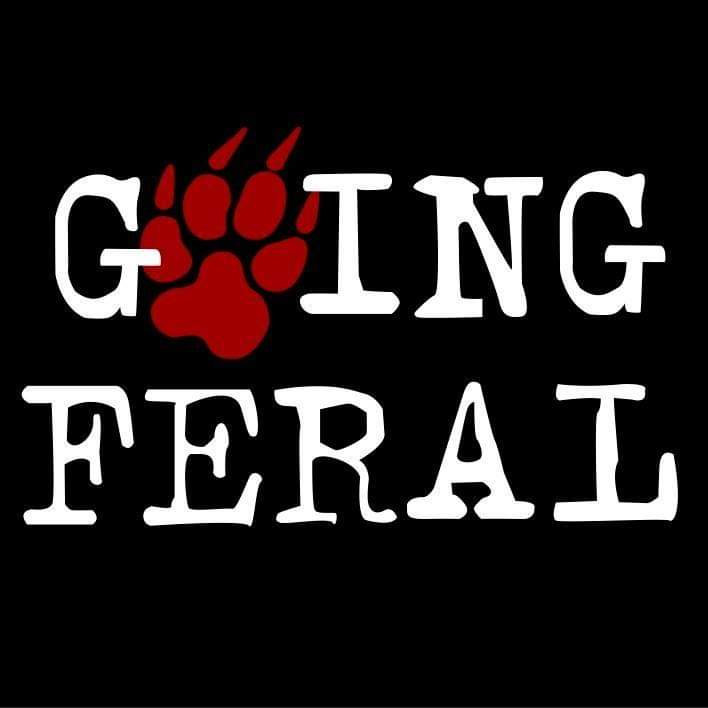 Breaking Bad | Going Feral