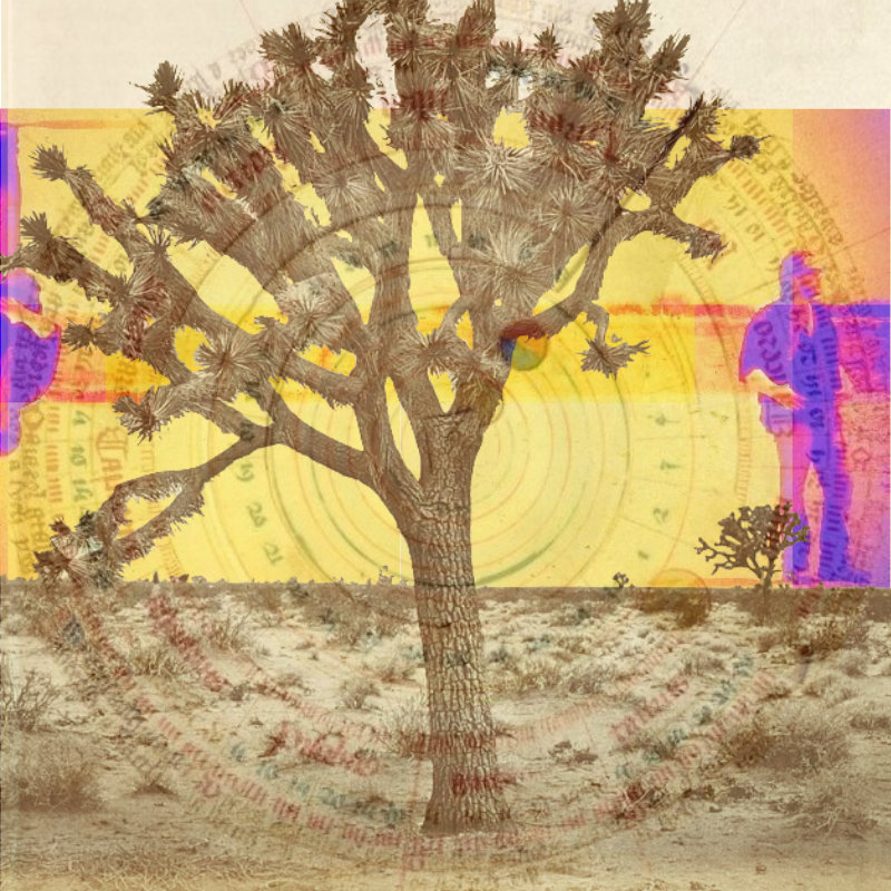 The Loss of One | Alan Chamberlain