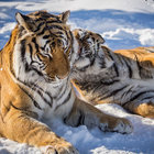 Life Beyond: Chapter 1 Original Soundtrack | melodysheep