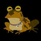 The Elixir Remixes | Kaya Project | Seb Taylor