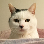 Live for Each Other | Fat Night