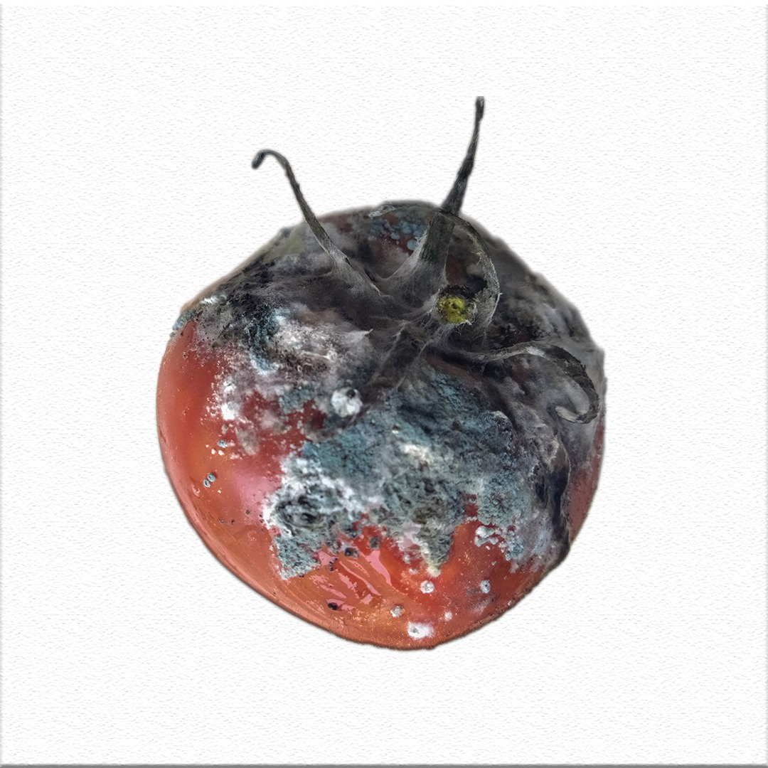 Deeper Tunnel | Brain of Maggot | Brain Of Maggot