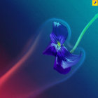 Eternal Reverie | TOKiMONSTA