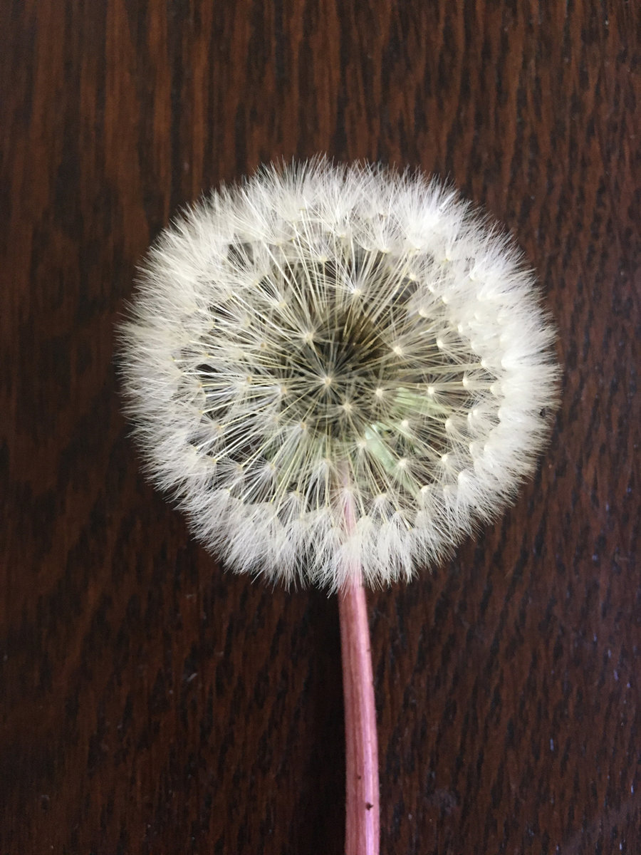 Where Does Your Mind Wander? | Dean JONES + JACKY Davis