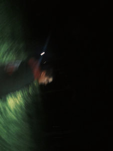 Music | Steve Rodgers