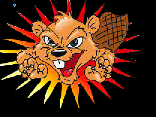 Prowling for the Blasts 3 | Owlripper Recordings | Beaver Fever