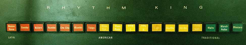 A Tiger's Tale | Leroi Conroy