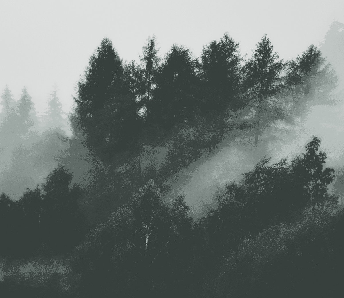 Split w/ Jonathan Fraser | A Maudlin Portrait