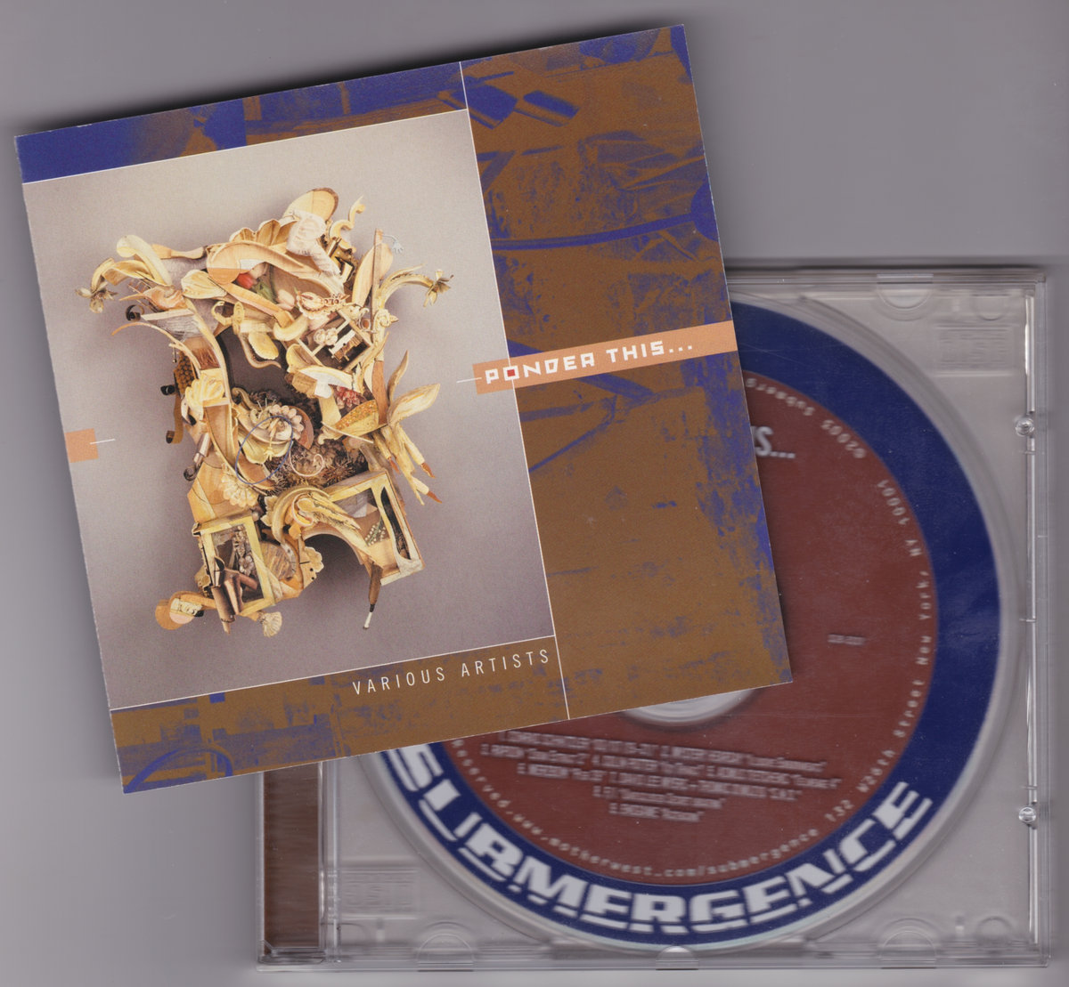 Ponder This... | Various Artists | Auricle Music