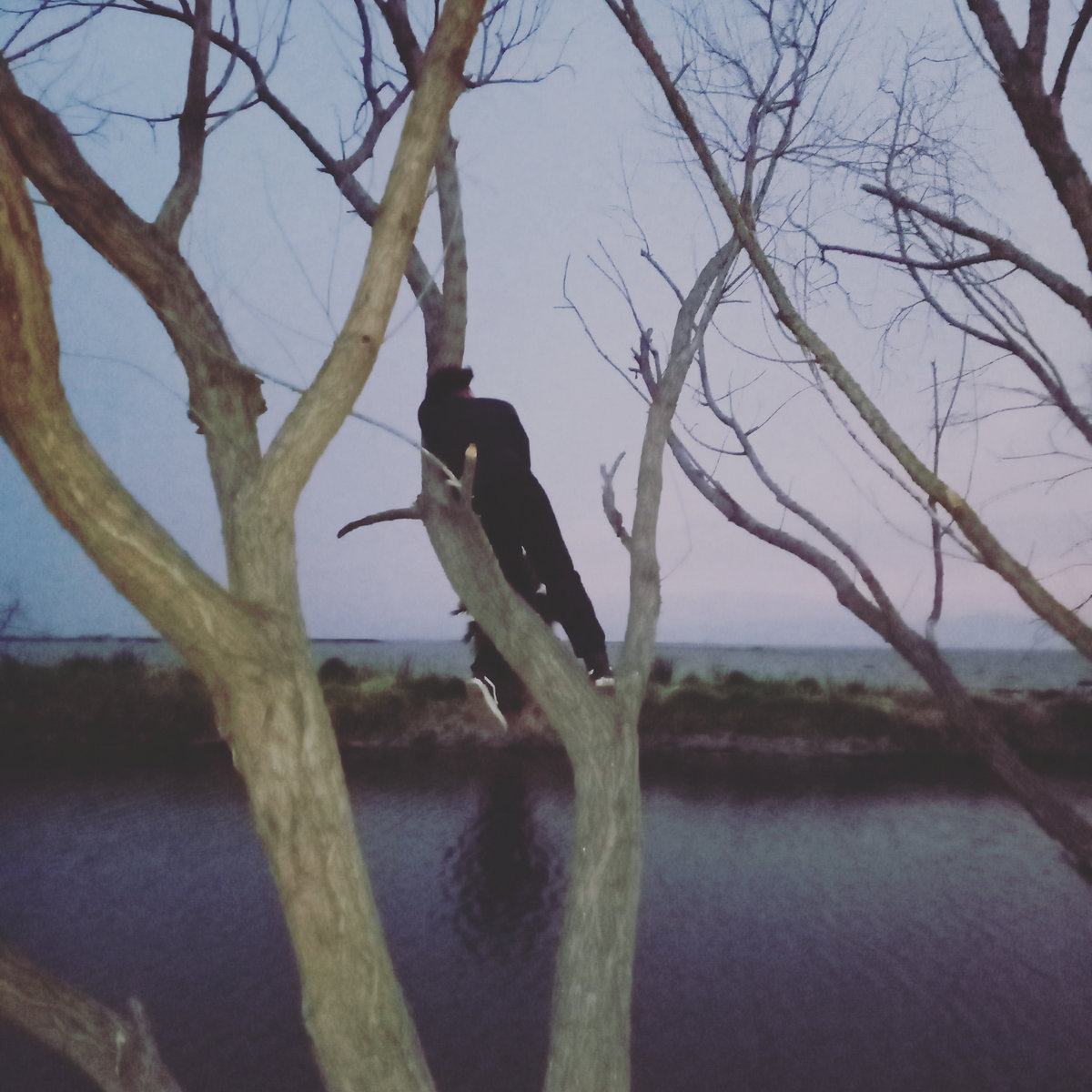 Start Here | Hugo Zarate