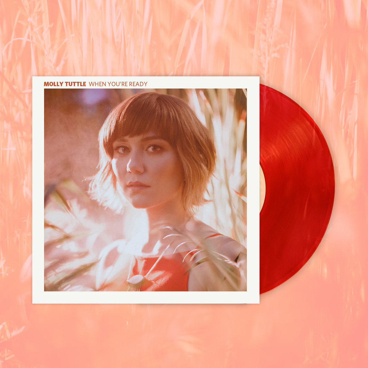 When You're Ready | Molly Tuttle