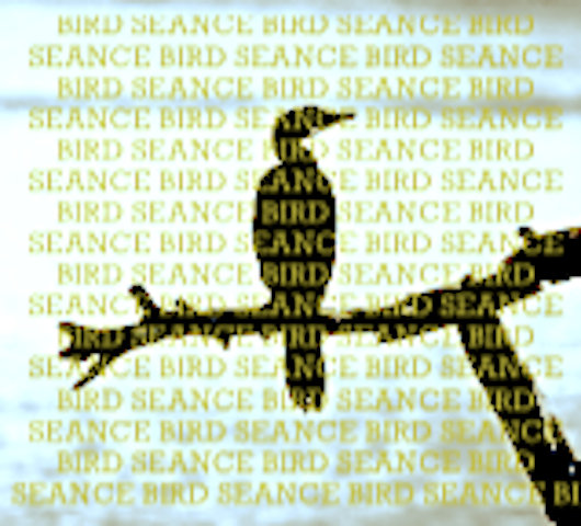 "Home" | Bird Seance