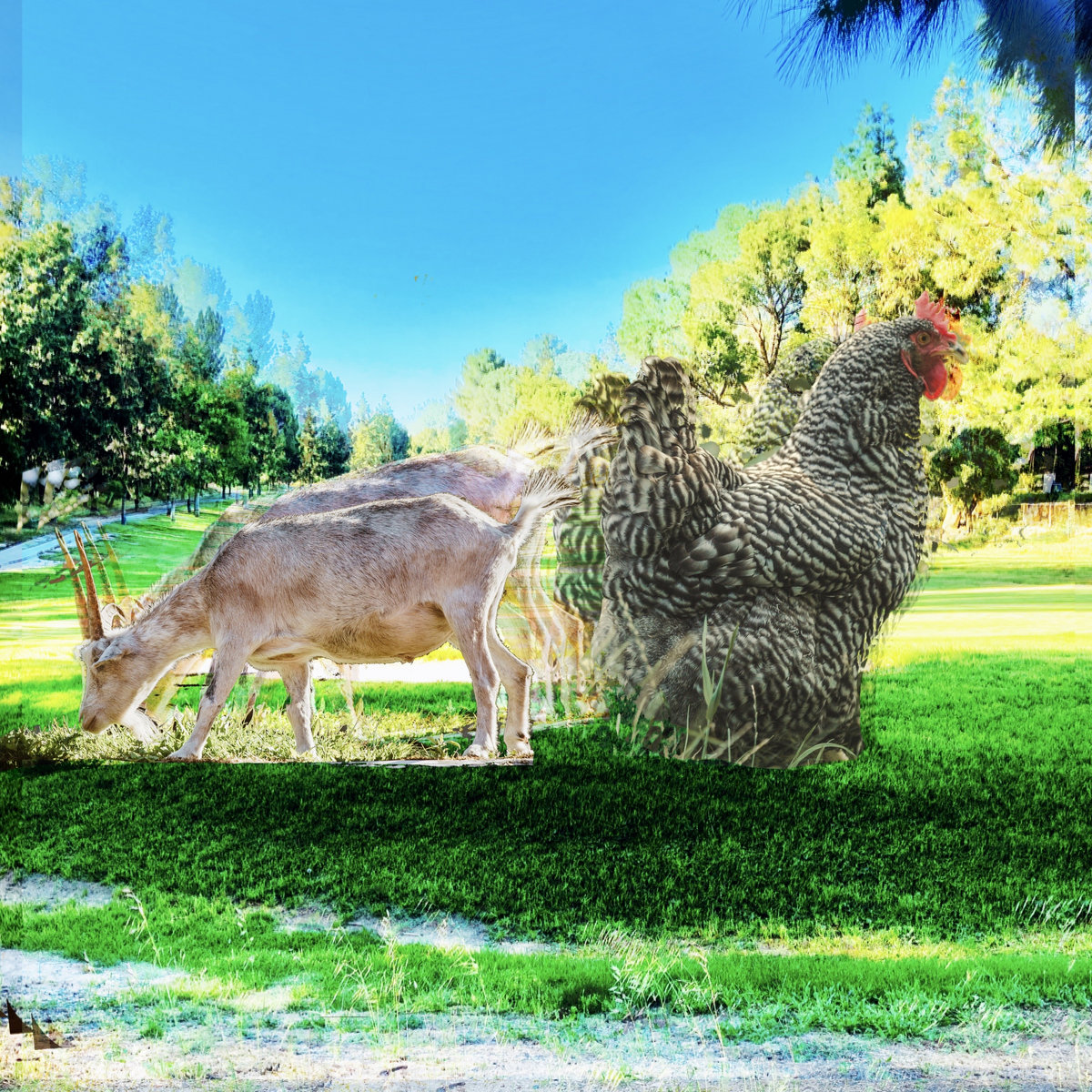 GARDEN PARTY | Boo Hiss | Boo Hiss / Books on Tape