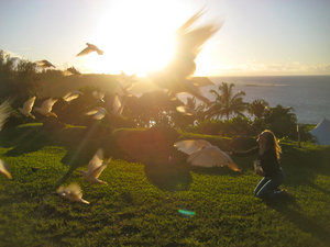 Music | Deborah Dove