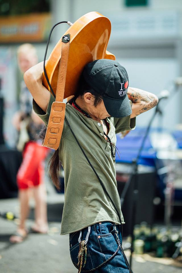 Elephant Weed | Weed Elephant