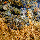 Swan Song Of The Skunkape Original Soundtrack | Danny Wolfers | Legowelt