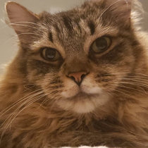 seilera's collection | Bandcamp