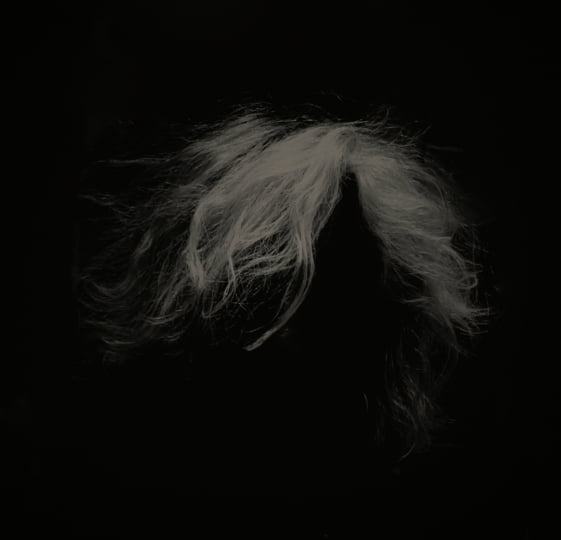 Eyebrow Texture Alpha