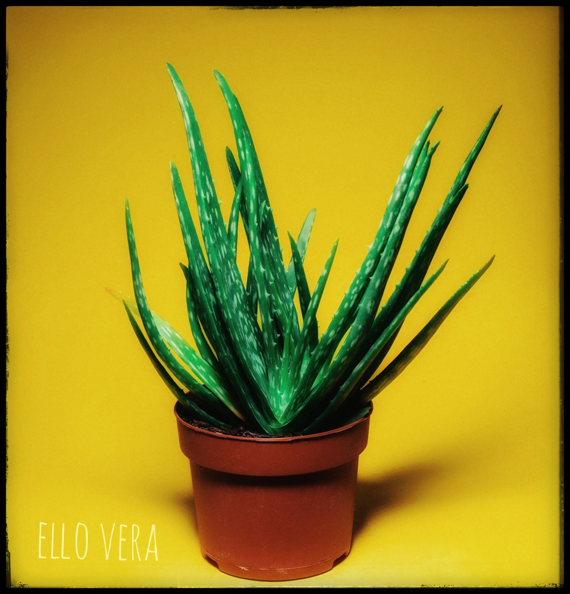 Fragmente | Ello Vera