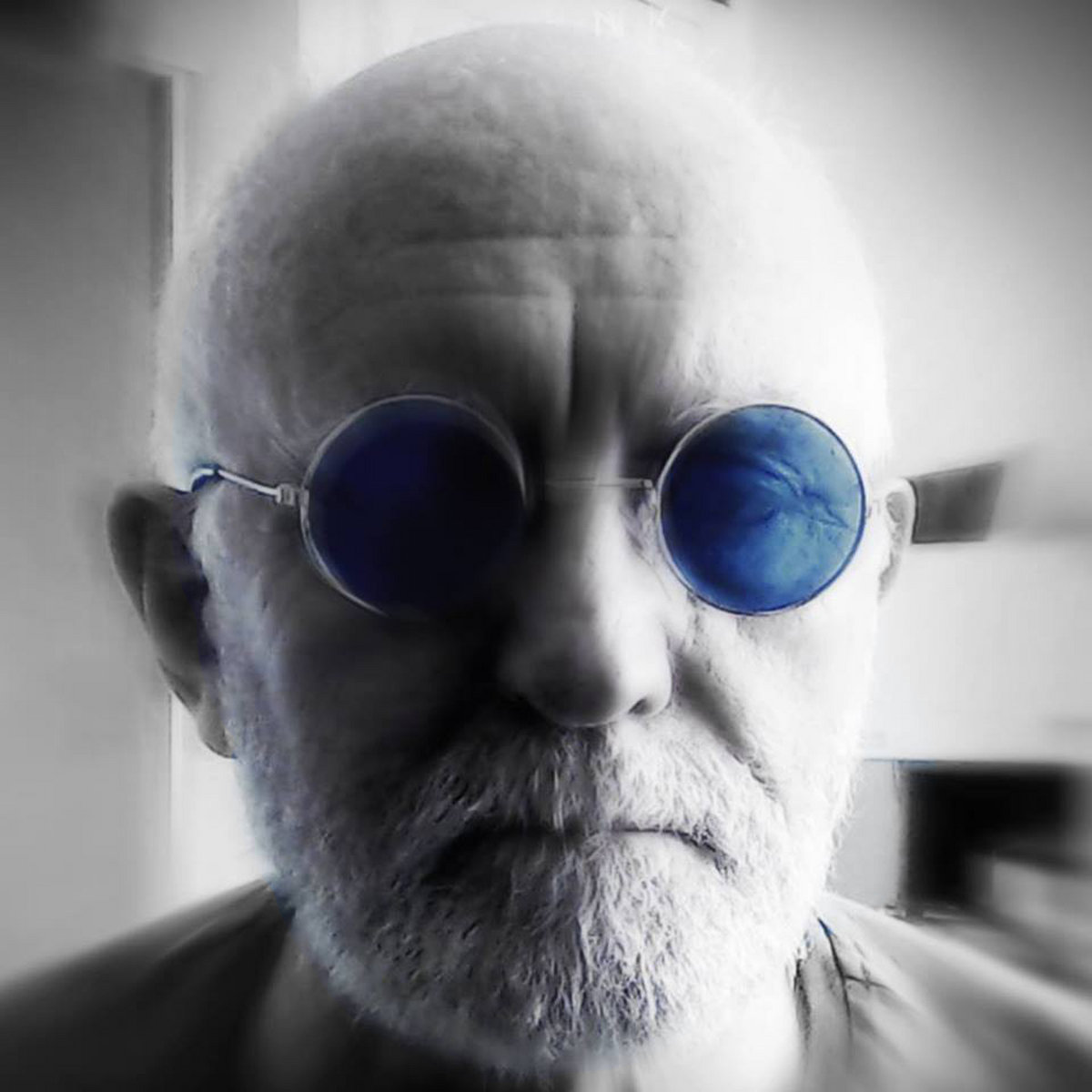 Blackleg Miner | Alan Morley