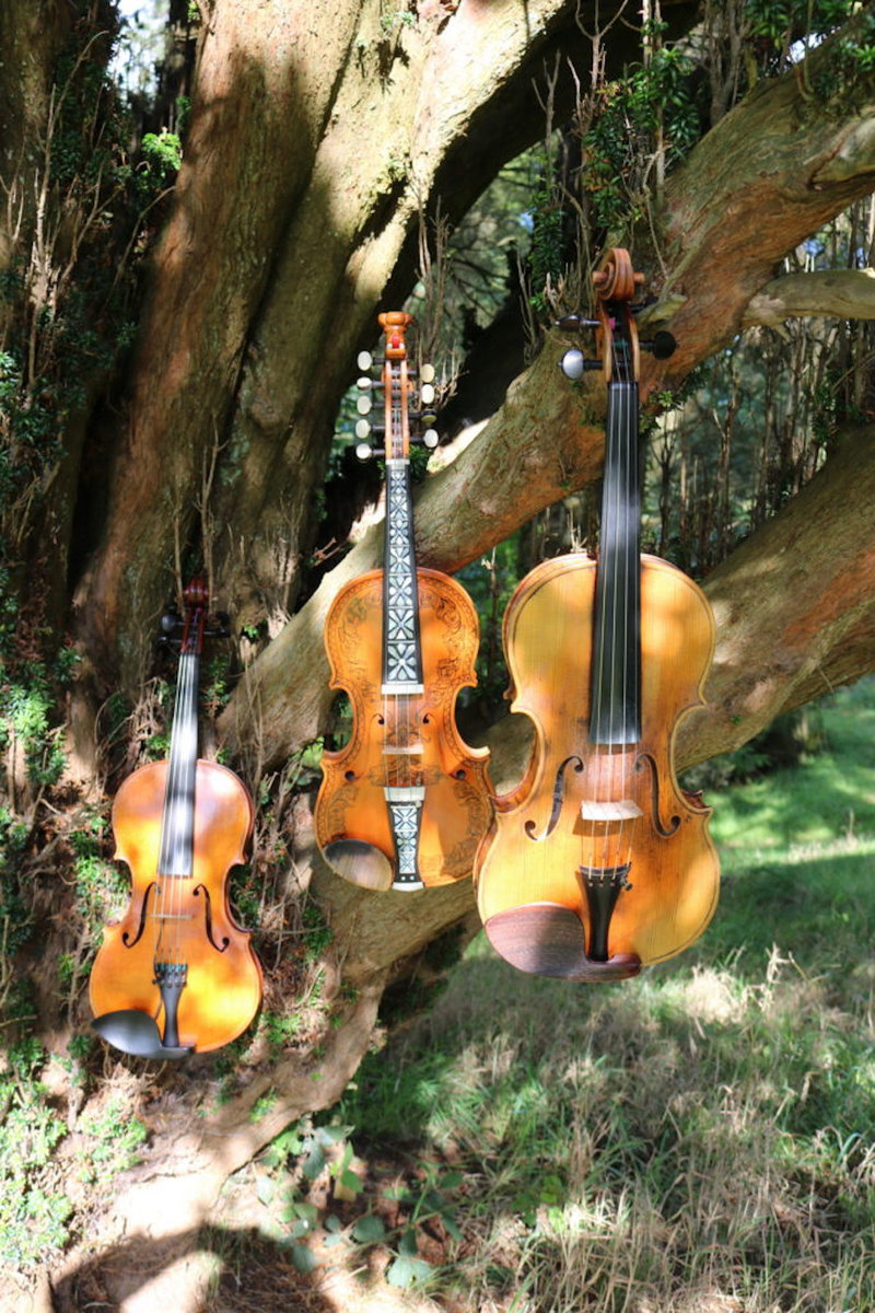 The Spectrum Project | Marie Fielding