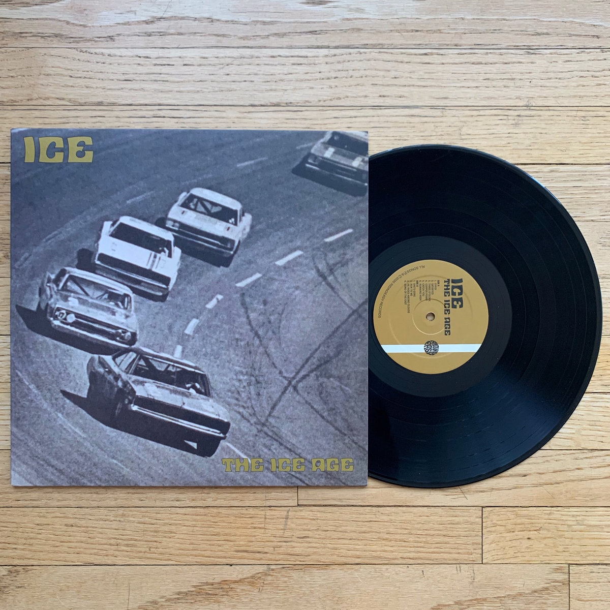 The Ice Age | Ice