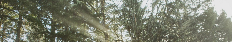 Red Rocks 2020 | Nathaniel Rateliff